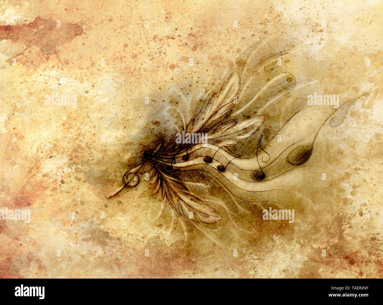 composition of feathers, notes and note lines, music theme with ...