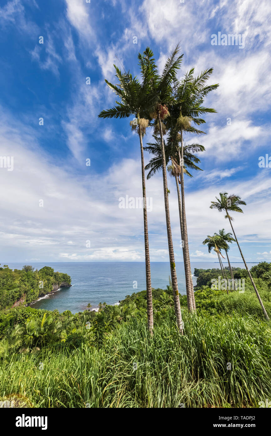 USA, Hawaii, Big Island, Onomea Bay Stock Photo - Alamy