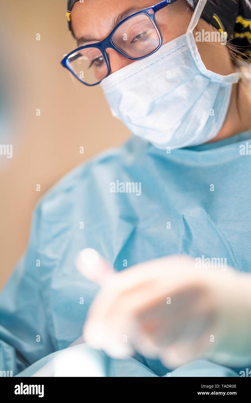 Female surgeon during operation Stock Photo - Alamy
