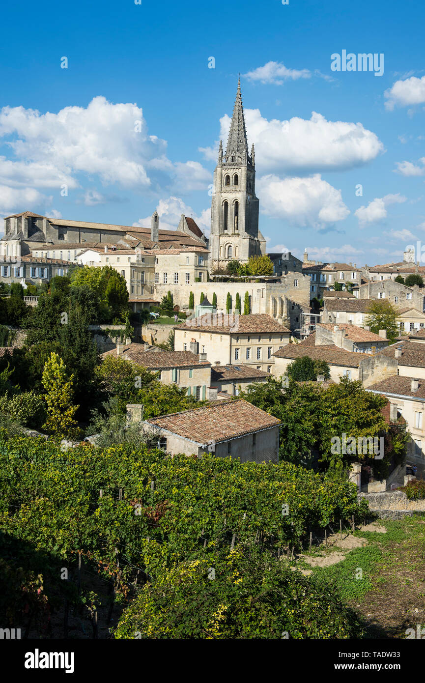France, Saint Emilion, overlook over the Unesco world heritage sight ...
