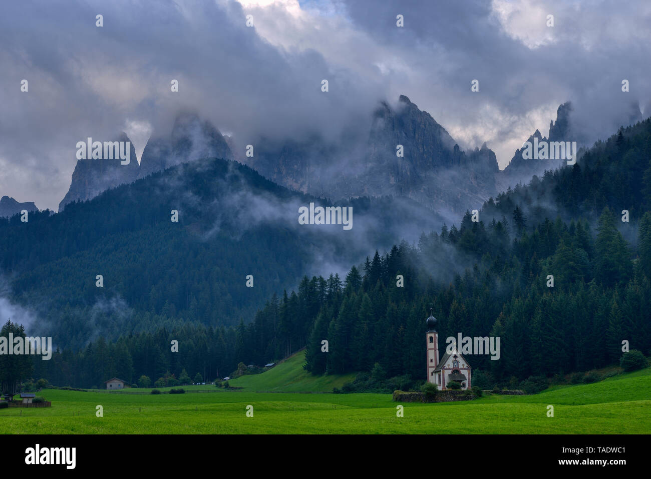 Ranui hi-res stock photography and images - Alamy