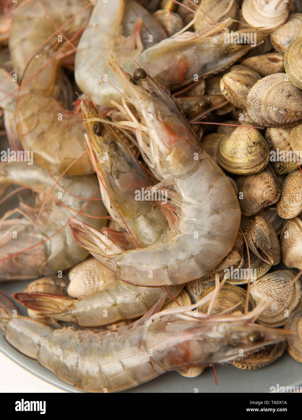 Shellfish assortment hi-res stock photography and images - Alamy