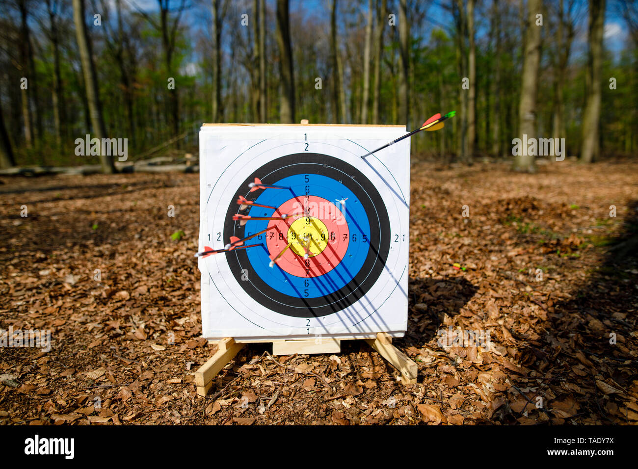 Target with arrows Stock Photo - Alamy