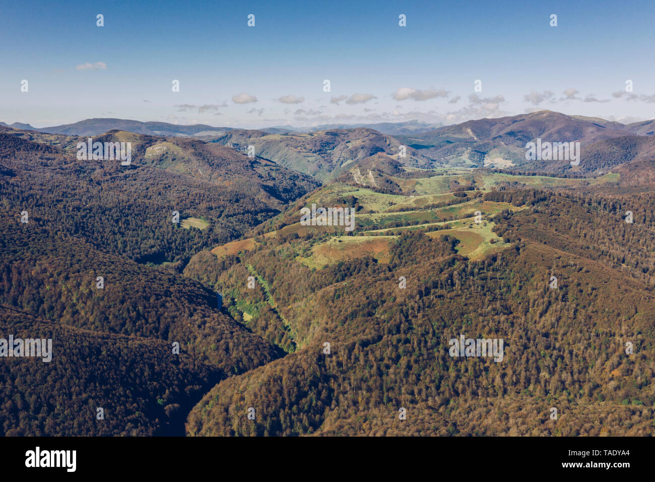 Irati forest spain hi-res stock photography and images - Alamy