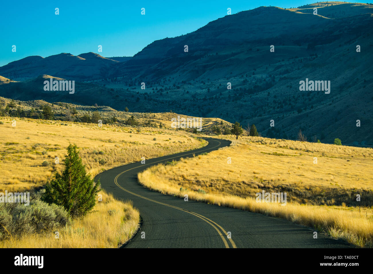 USA, Oregon, John Day Fossil Beds National Monument, Sheep Rock Unit ...