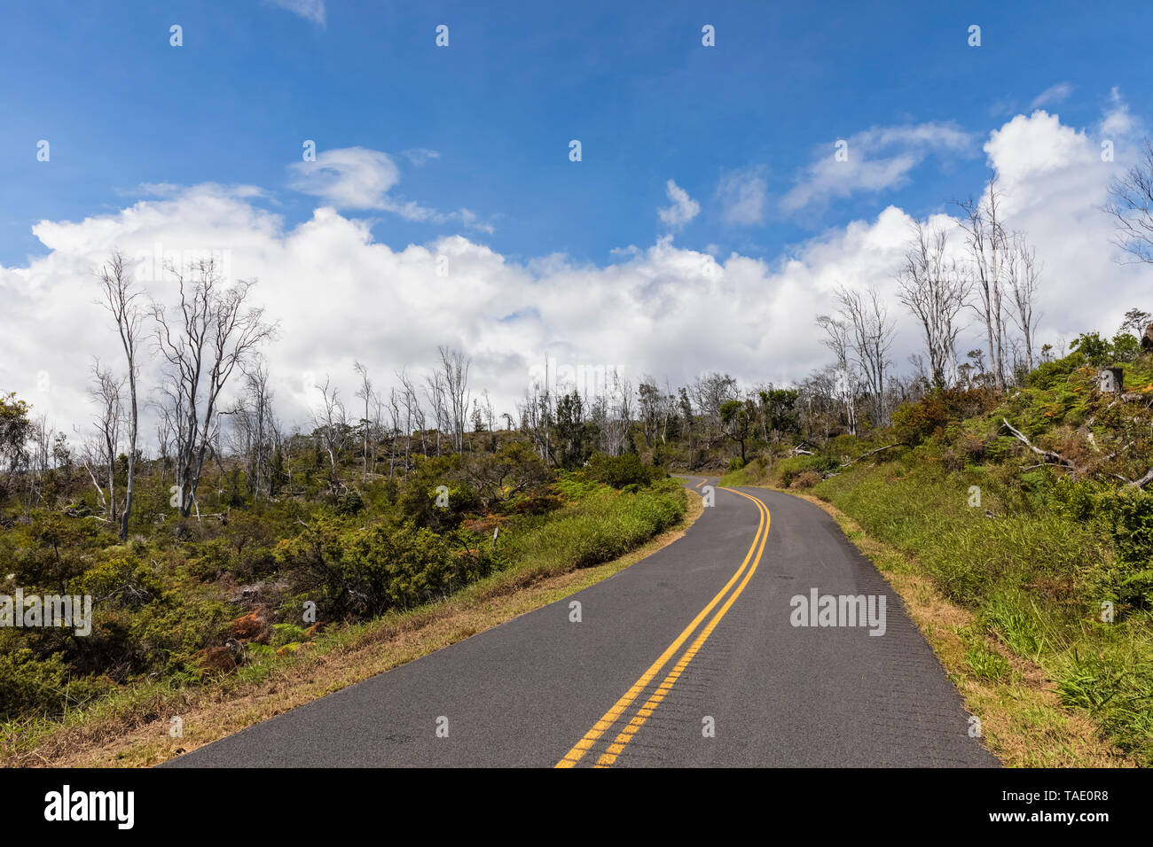 USA, Hawaii, Big Island, empty road Stock Photo - Alamy