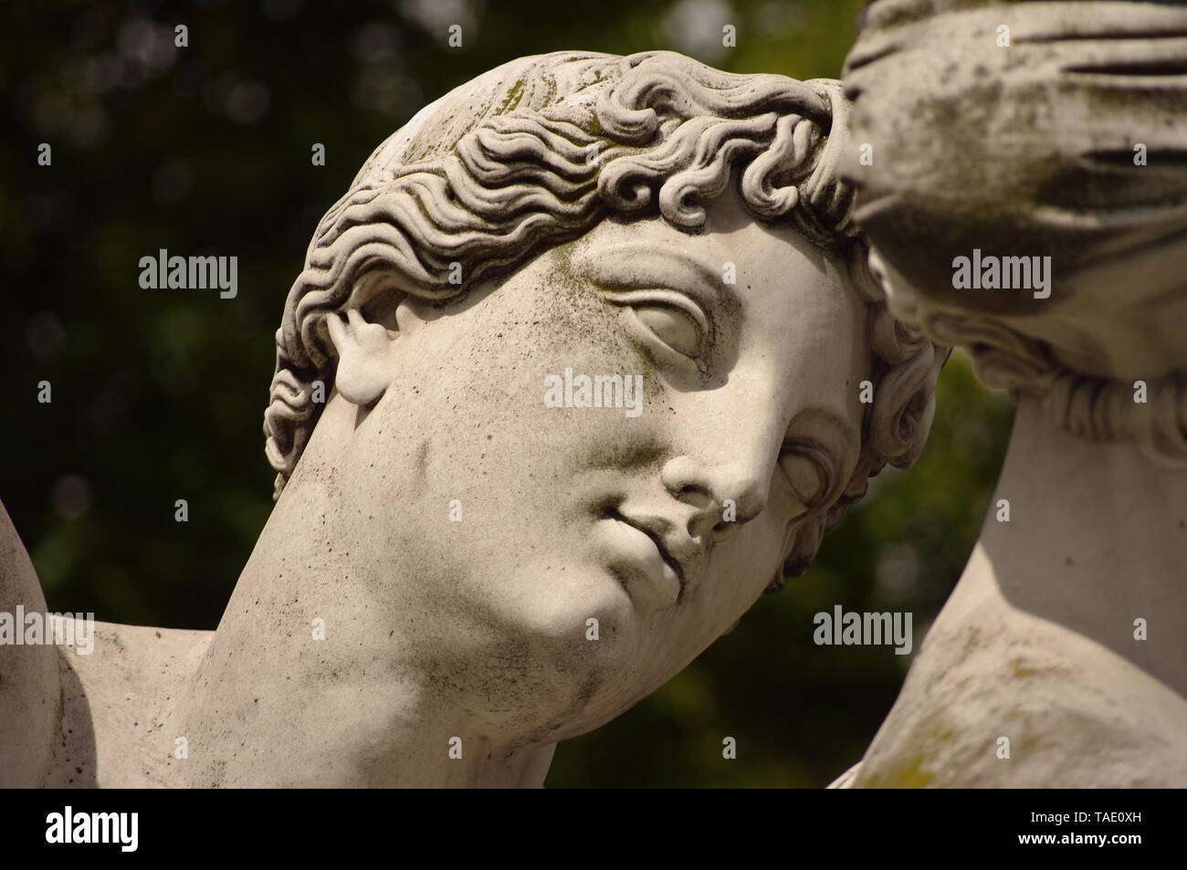 Statue of Nymphs at Rosenstein castle in Stuttgart Stock Photo - Alamy