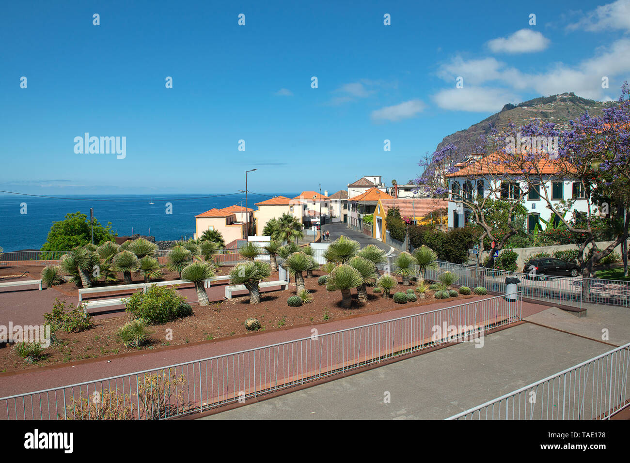 Funchal bay beach hi-res stock photography and images - Alamy