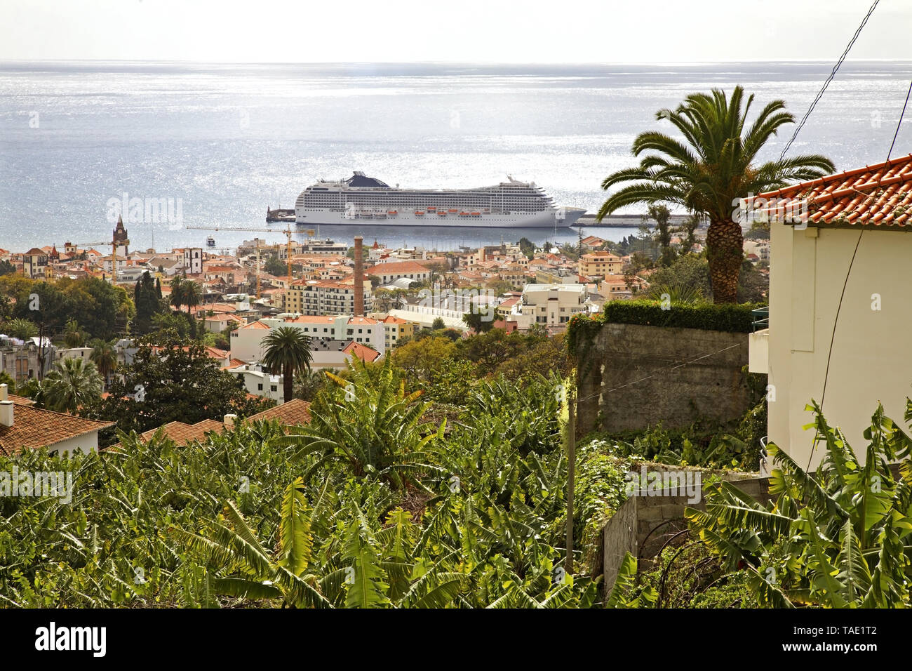 Port in Funchal. Madeira island. Portugal Stock Photo - Alamy