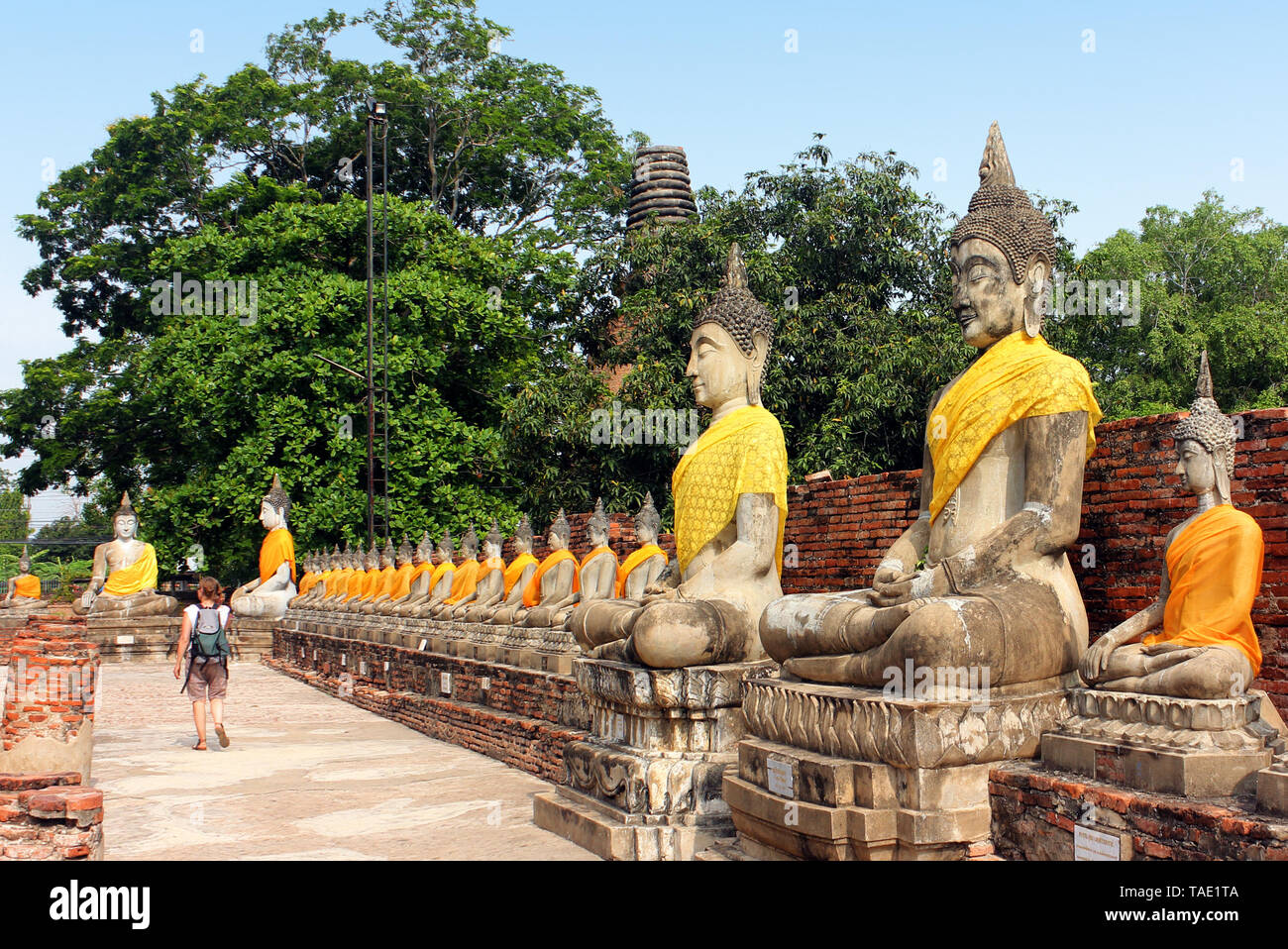 Ancient statues of meditating buddha sitting, at Wat Yai Chaimongkol ...
