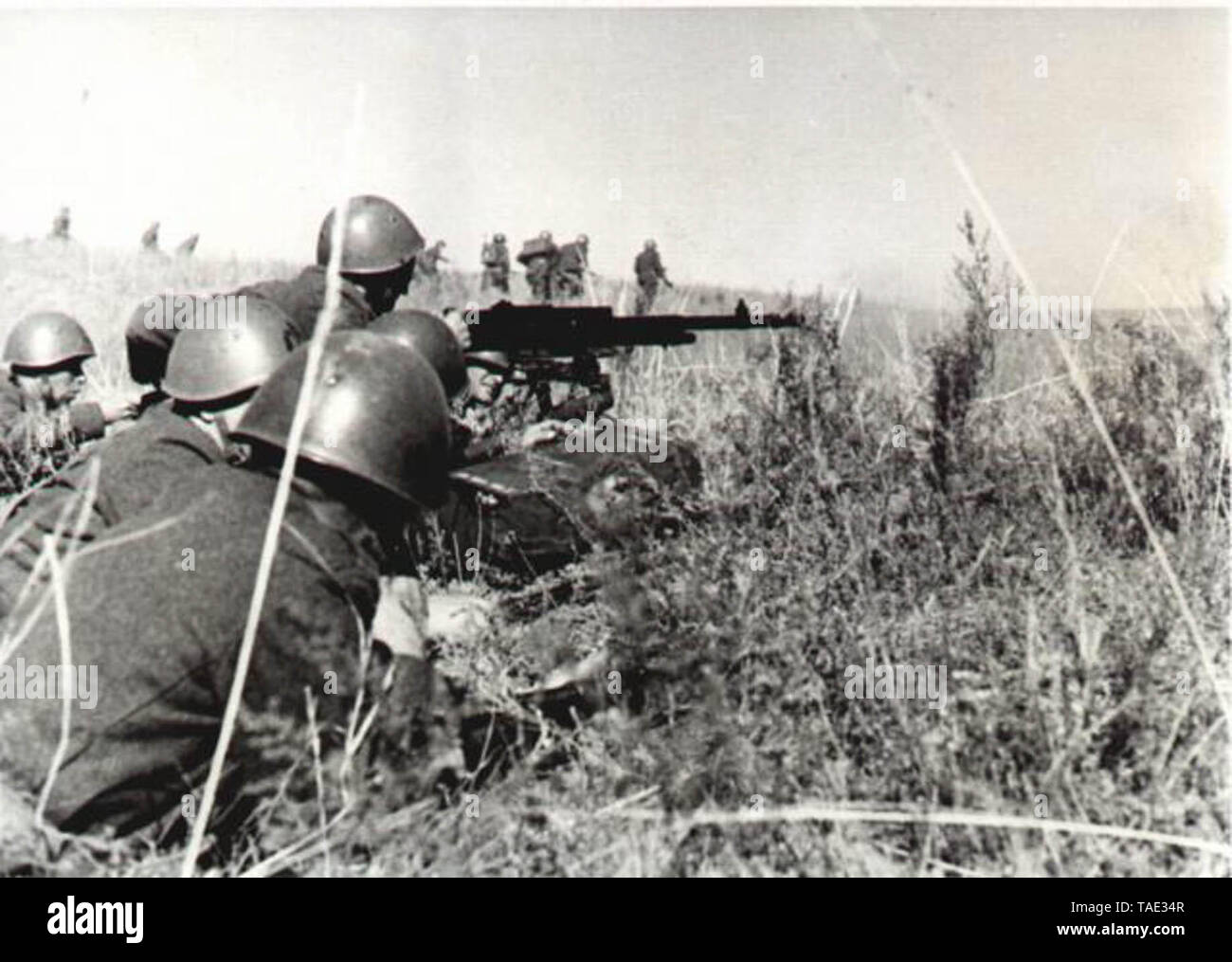 Operation Barbarossa 1941 High Resolution Stock Photography and Images ...