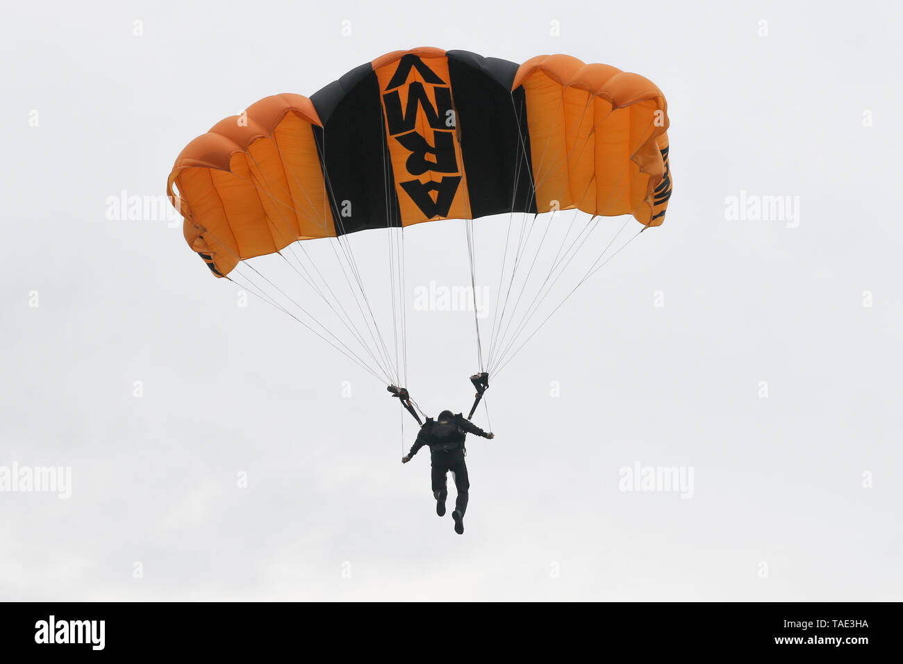 A member of the U.S. Army Golden Knights Parachute Demonstration Team ...