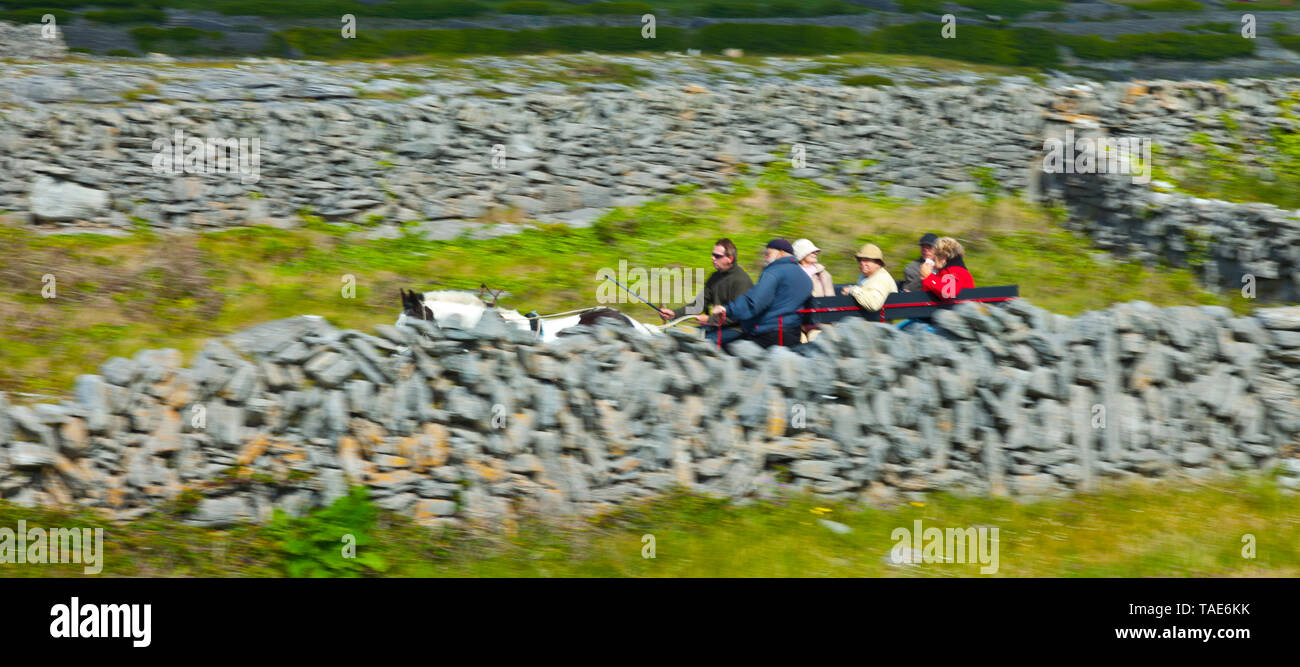 Pony Carriage. Inisheer Island - Inis Oirr. Aran Islands, Galway County ...