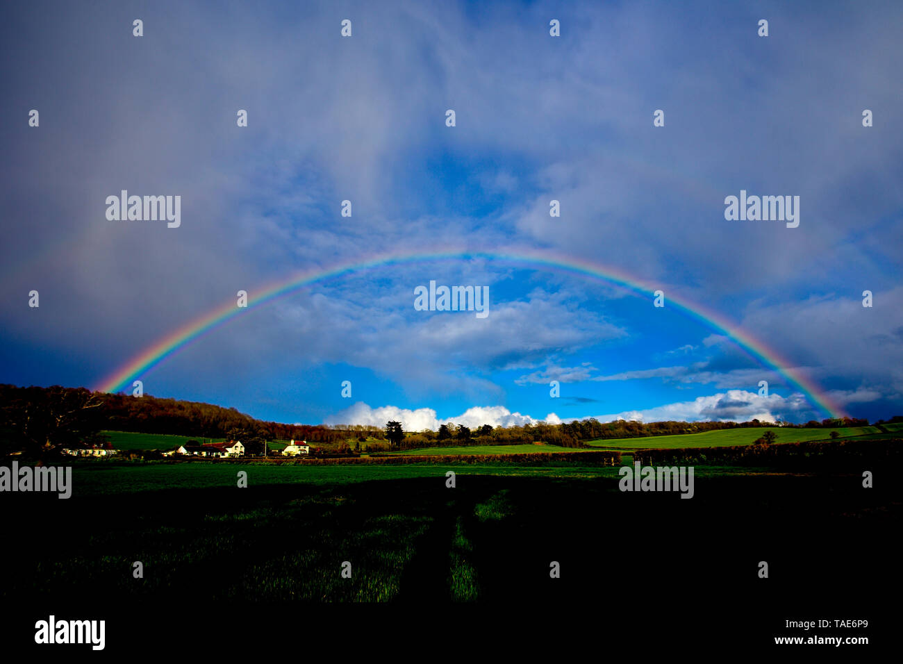 A rainbow over farmland near Minehead, Somerset, England, UK Stock ...