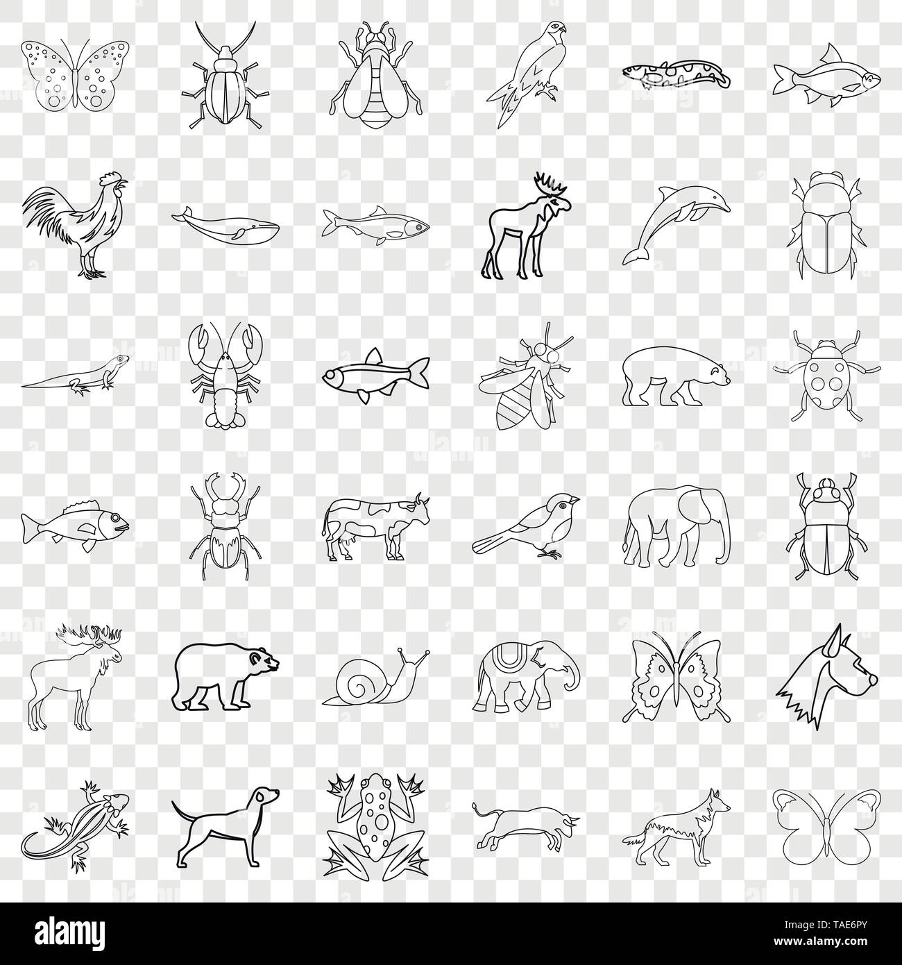 Insect icons set, outline style Stock Vector Image & Art - Alamy Insect icons set, outline style Stock Vector Image & Art - Alamy