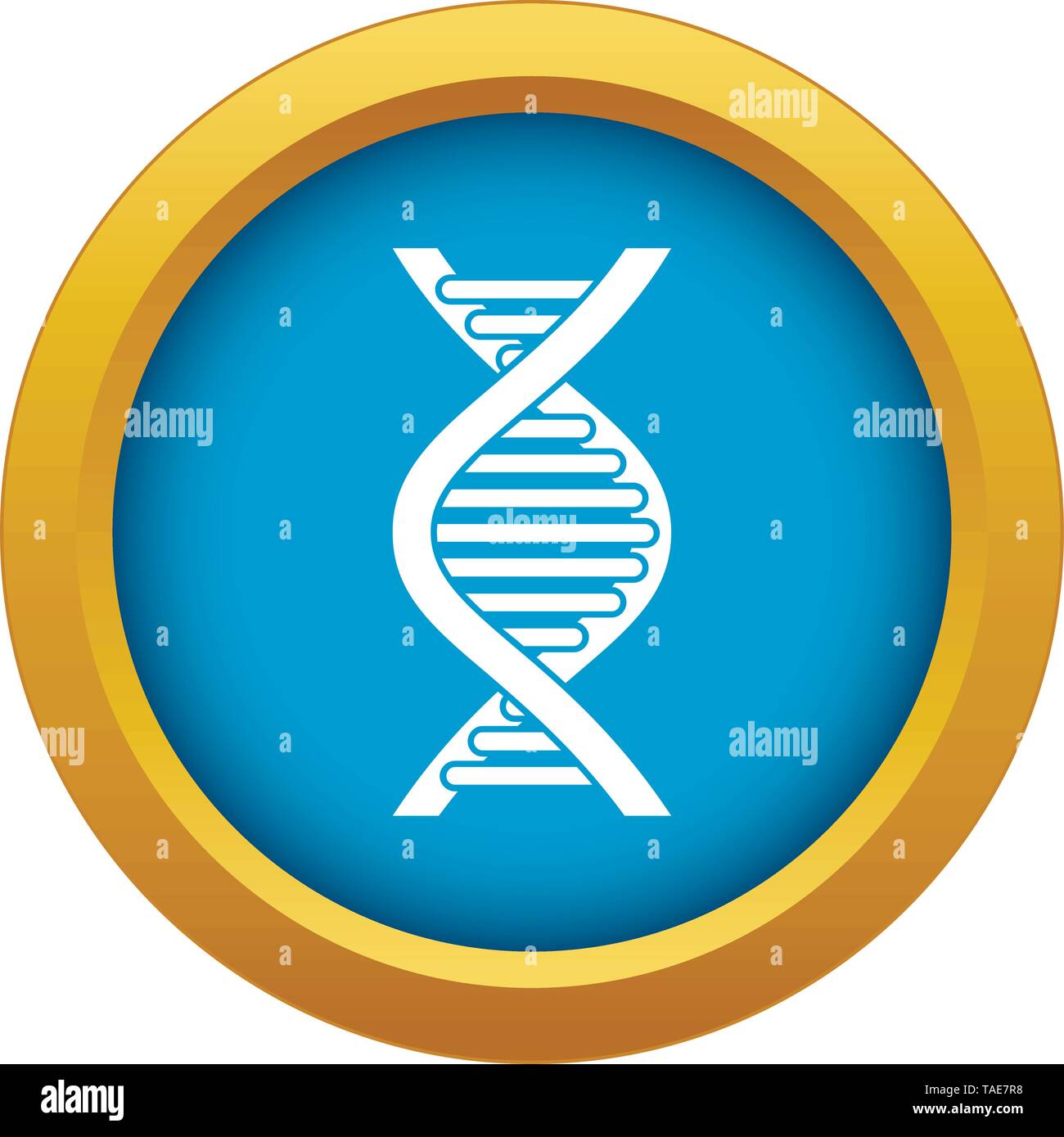 DNA strand icon blue vector isolated Stock Vector Image & Art - Alamy