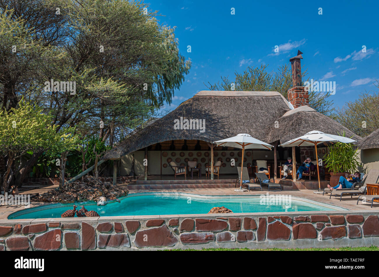 Swimming Pool area at Erindi Private Game Reserve in Namibia Stock ...