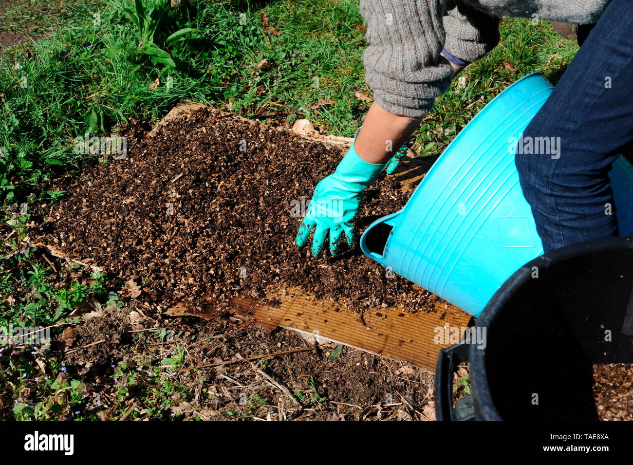 Lasagna bed ; plant fruits in lasagna bed. In soils that are poor ...
