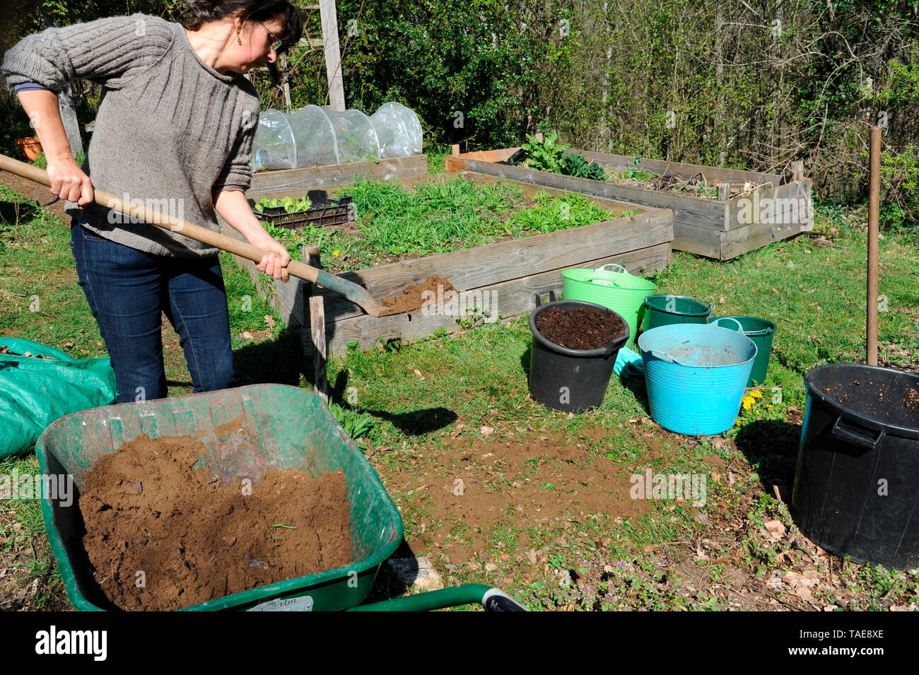 Lasagna bed ; plant fruits in lasagna bed. In soils that are poor ...