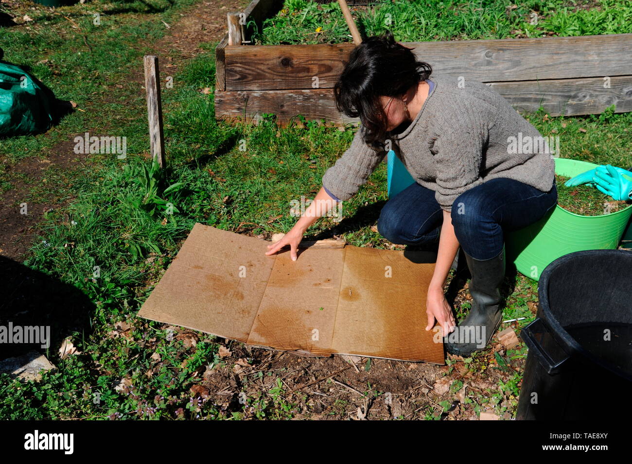 Lasagna bed ; plant fruits in lasagna bed. In soils that are poor ...