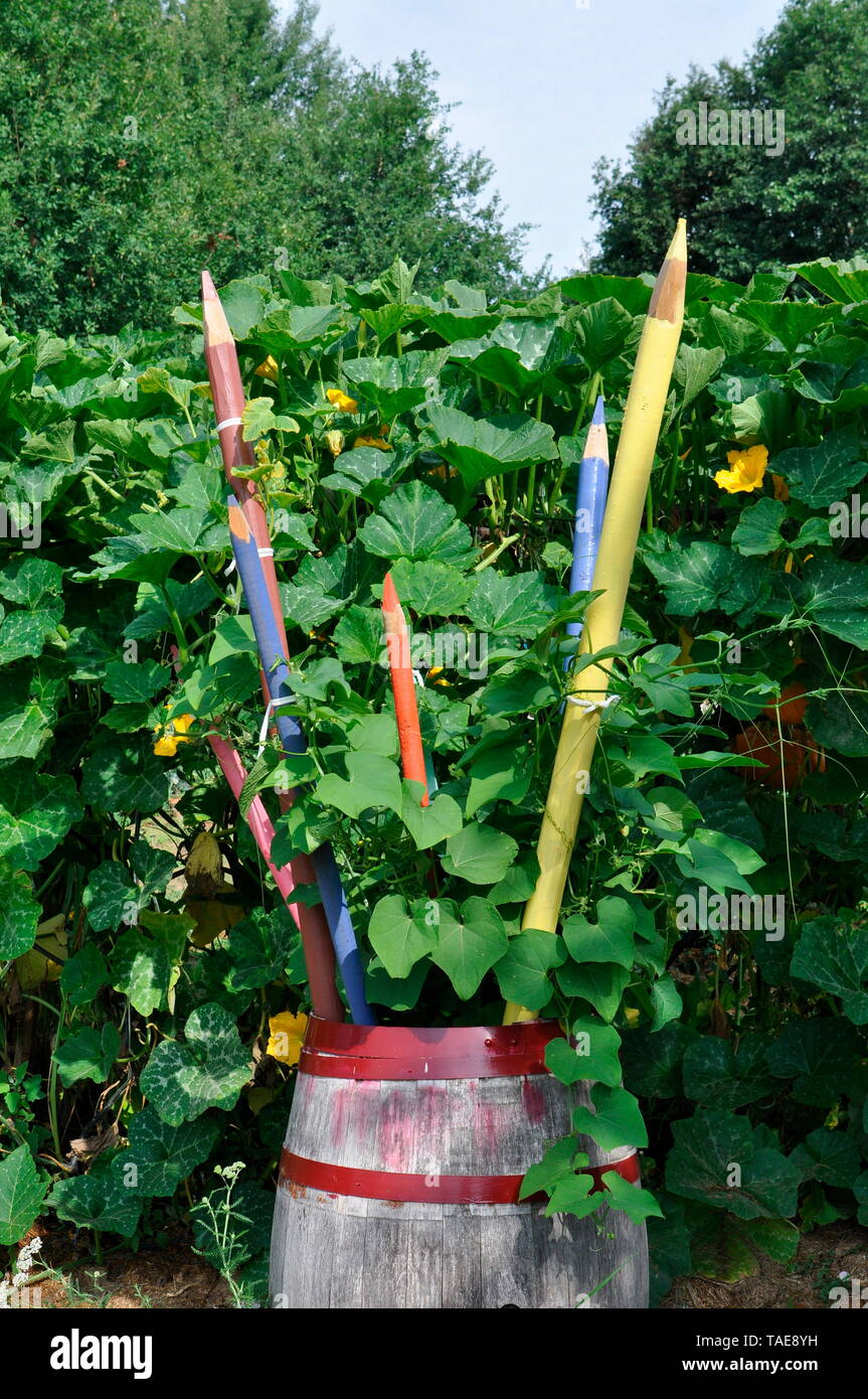 Lasagna - Grow tall lasagna. For each fruit, attach the peduncle ...