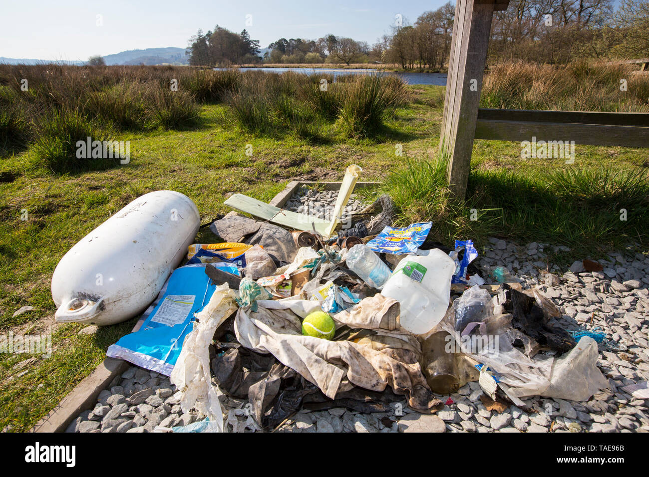 Plastic rubbish washed up on the shores of Lake Windermere, Lake ...