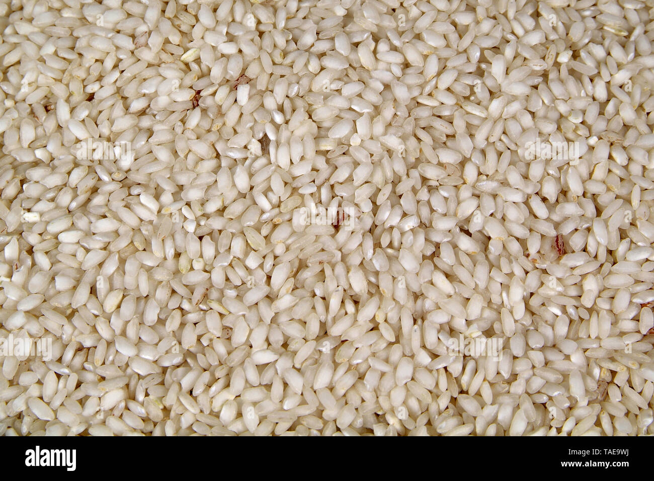 Close up white rice texture background, inside rice mill Stock Photo ...