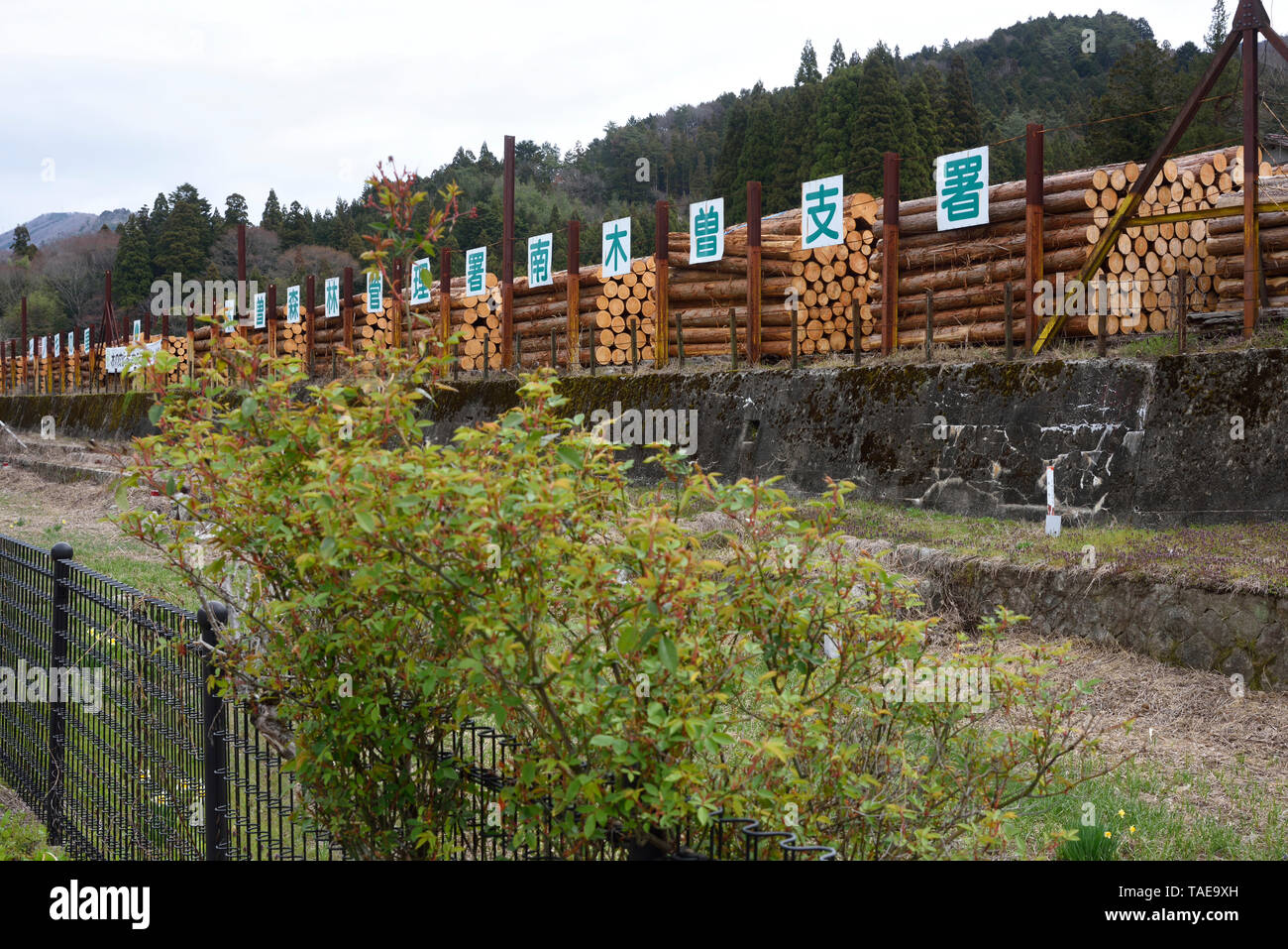 timber yard Japan Stock Photo - Alamy