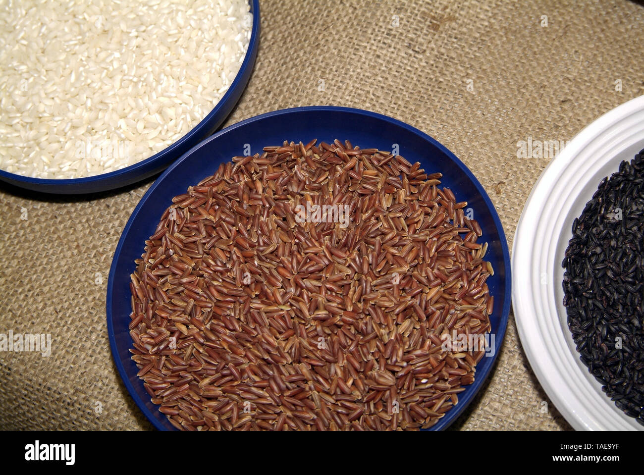 Close up white, red and black rice texture background, inside rice mill ...
