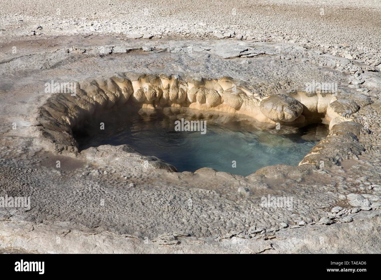 Beach geyser yellowstone hi-res stock photography and images - Alamy