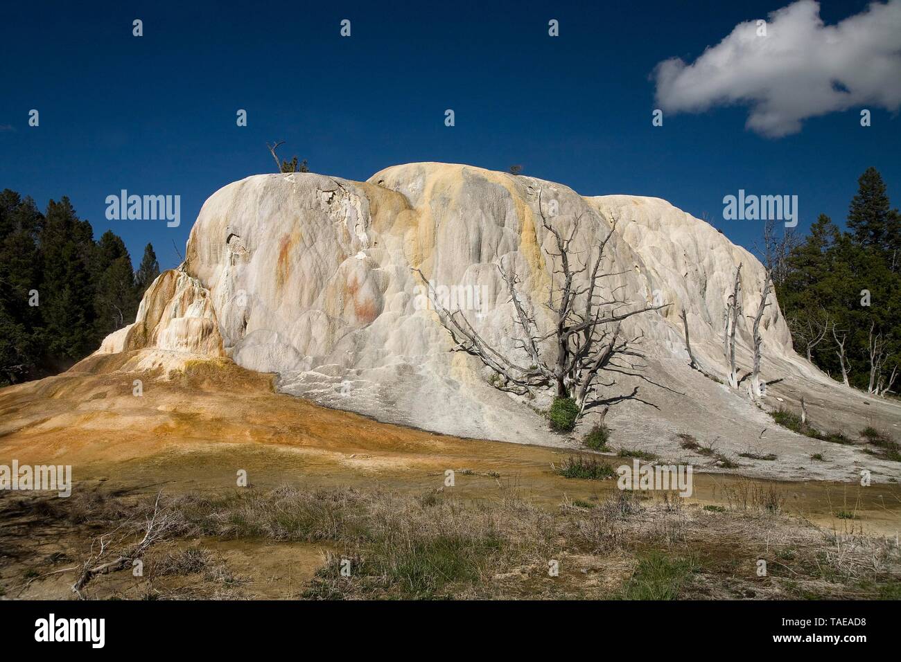 Hot spring mound hi-res stock photography and images - Alamy