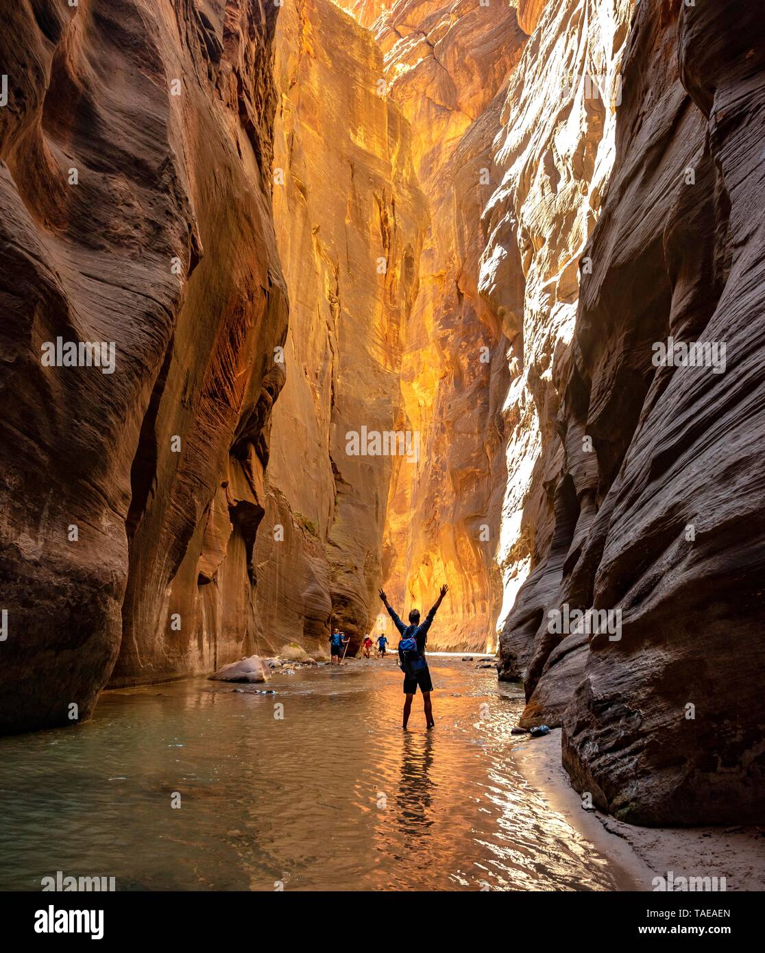 Hiker walks in the water and stretches arms into the air, The Narrows ...