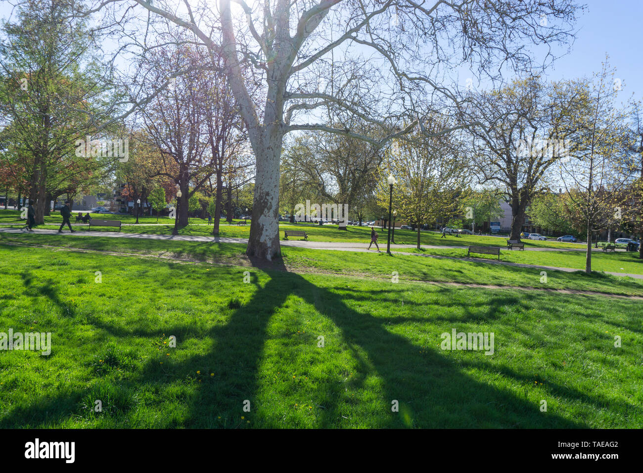 Allen gardens landscape hi-res stock photography and images - Alamy