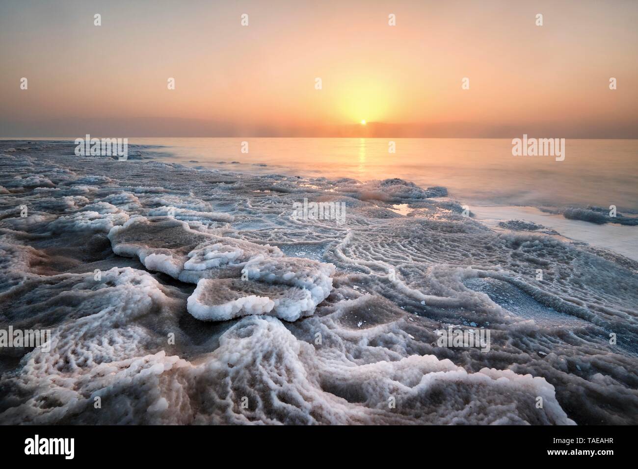 Shore with deposited salt crust hi-res stock photography and images - Alamy