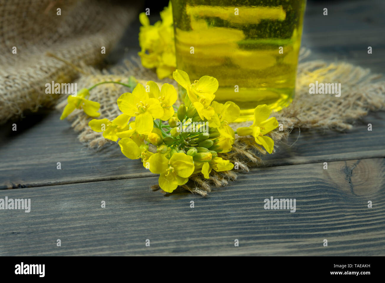 Yellow canola or rapeseed flowers with a small glass decanter of oil on ...