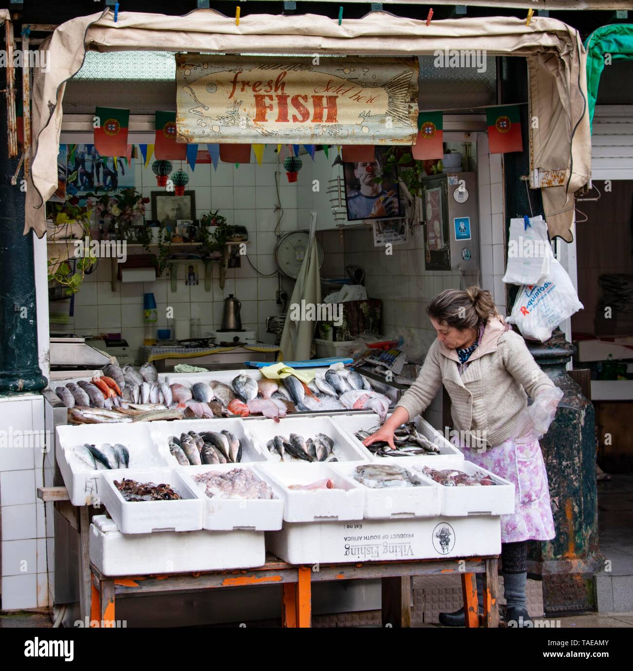 Fish stand, seafish on display, Mercado de Bolhao, Porto, Portugal ...