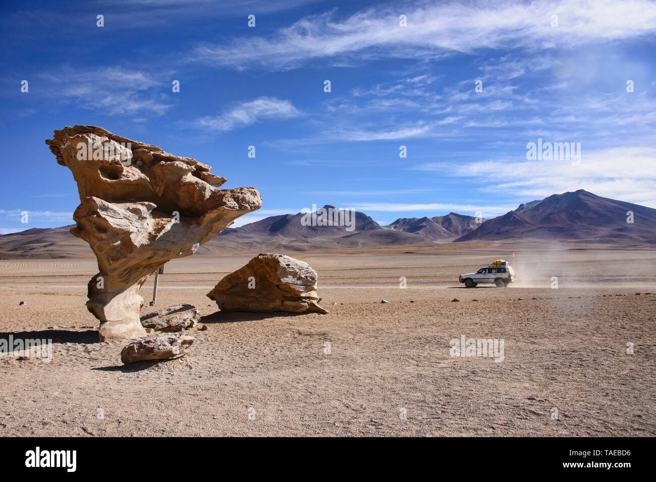 The Arbol de la Piedra "Tree of Stone," eroded rocks in the Salar de ...