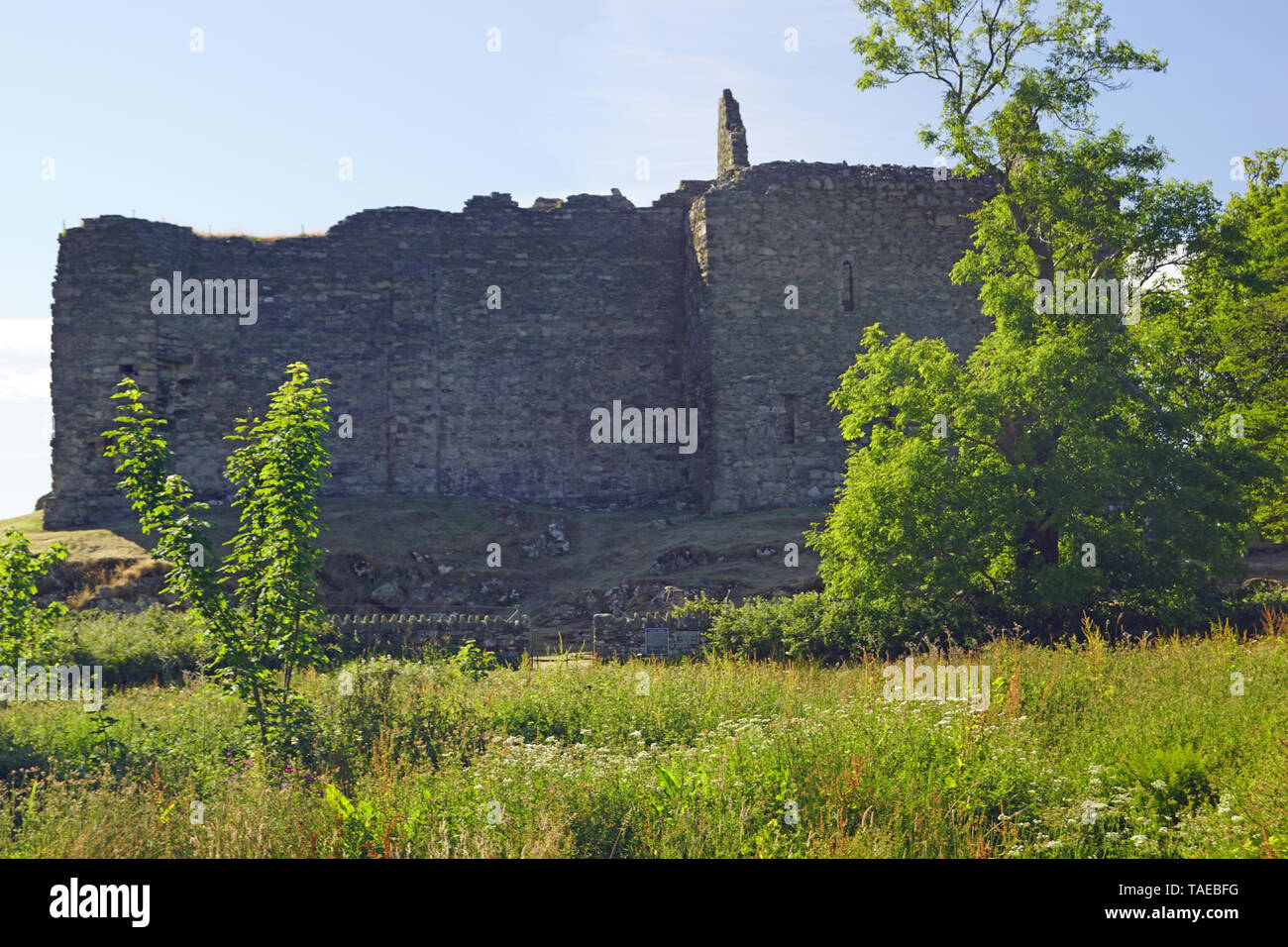 Sween hi-res stock photography and images - Alamy