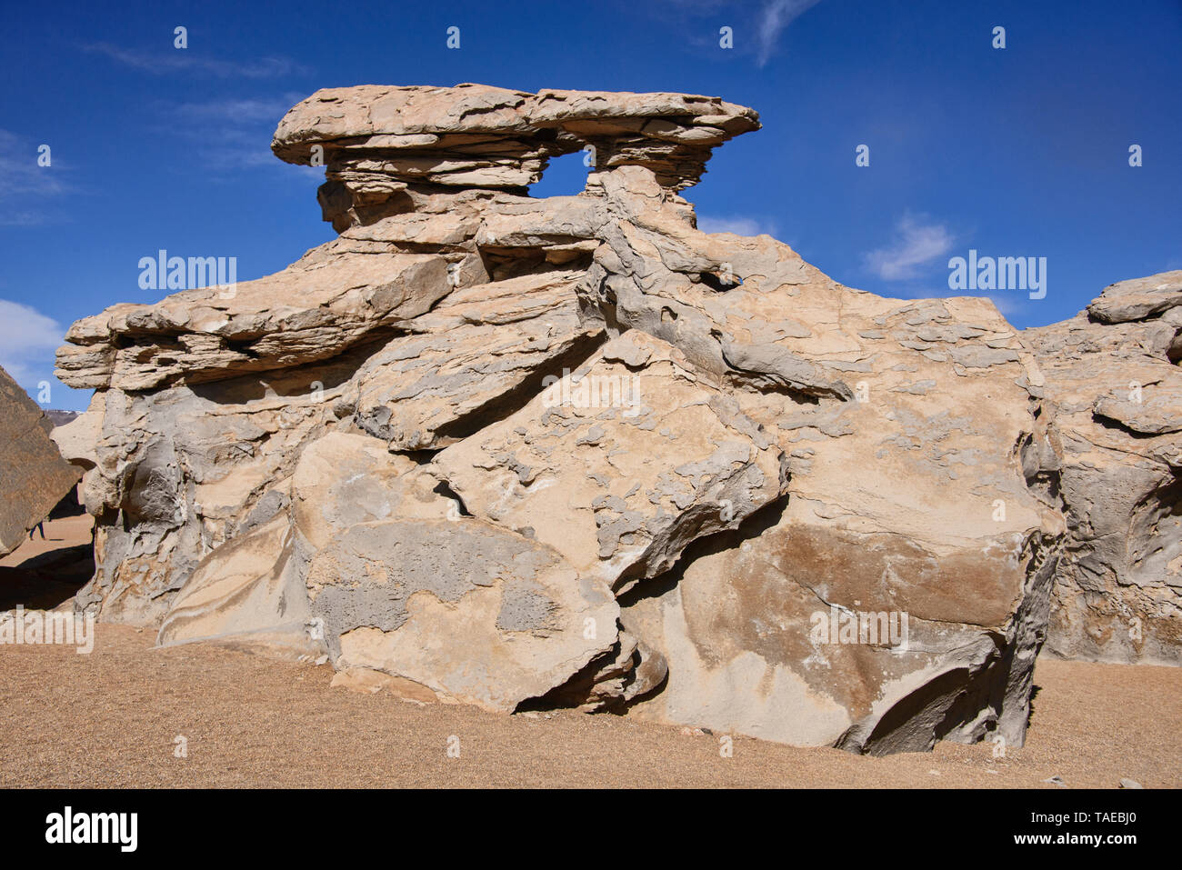 The Arbol de la Piedra "Tree of Stone," eroded rocks in the Salar de ...