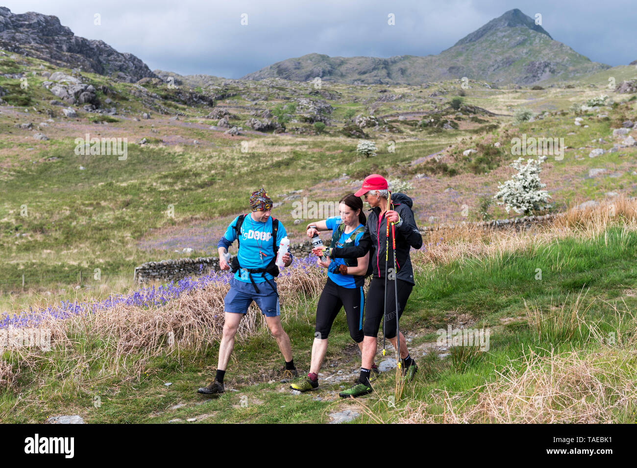 Nicky Spinks during her successful double Paddy Buckley round in North ...