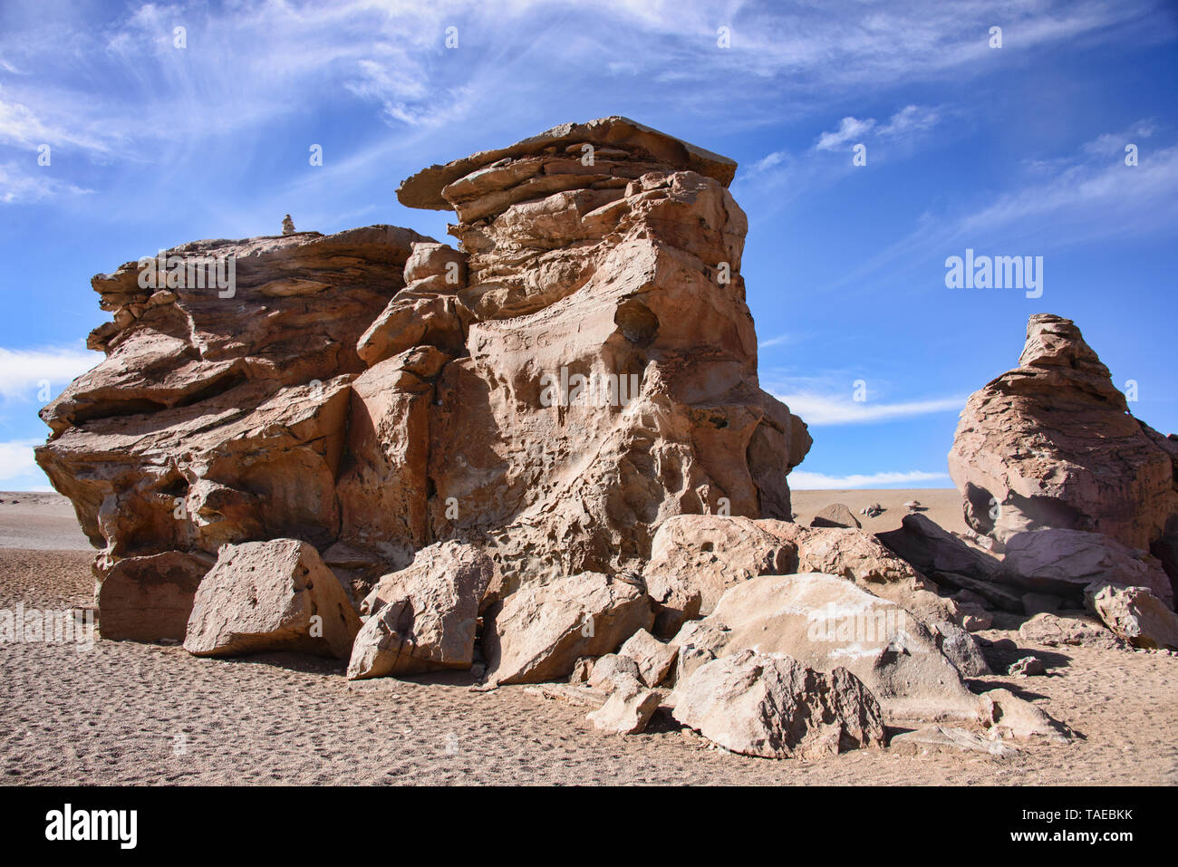 The Arbol de la Piedra "Tree of Stone," eroded rocks in the Salar de ...