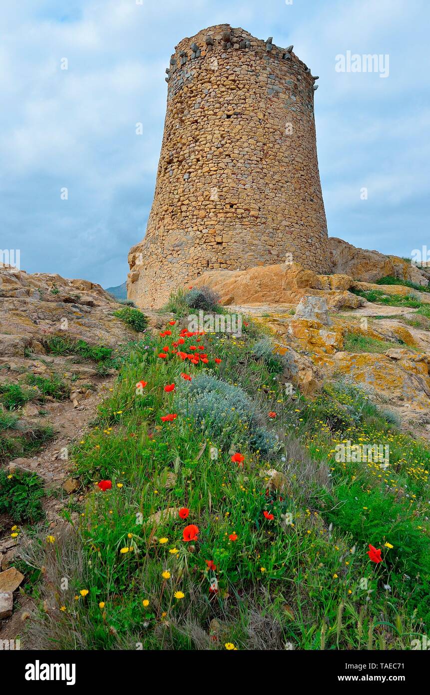 Genoese tower of the peninsula of Pietra, Corsica Stock Photo - Alamy