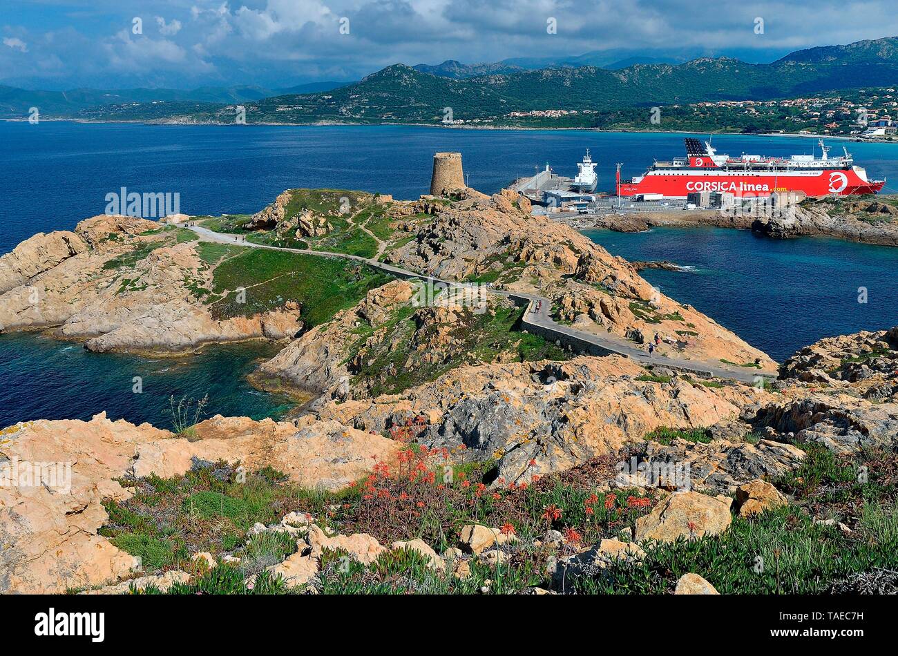 Peninsula of Pietra and port of Ile-Rousse, Corsica Stock Photo - Alamy