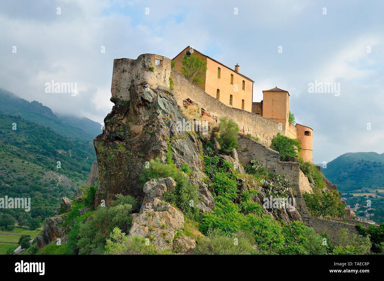 Citadel of Corte: the old castle., Corsica Stock Photo - Alamy