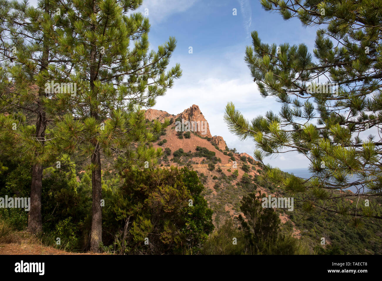 Landscape of Esterel at the end of summer, typical red rocks around Cap ...