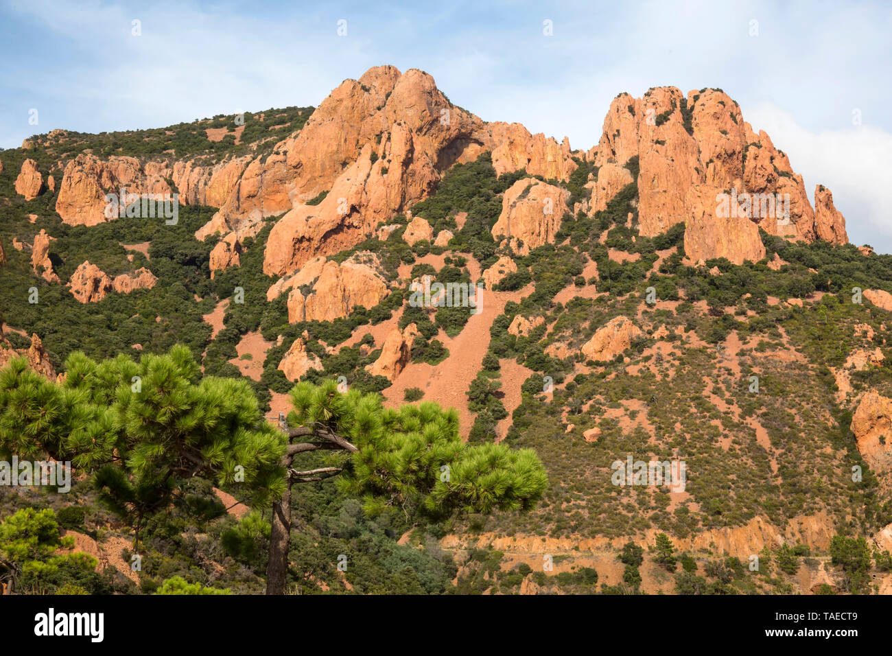 Landscape of Esterel at the end of summer, typical red rocks around Cap ...