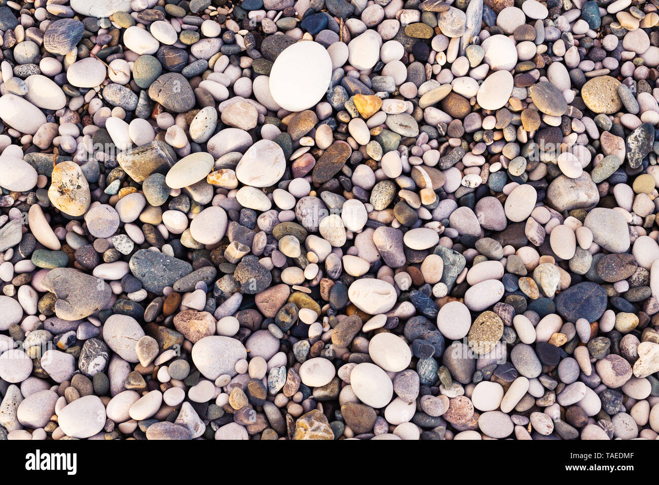 Sea pebble beach stones. Background texture coastline surf with wet ...