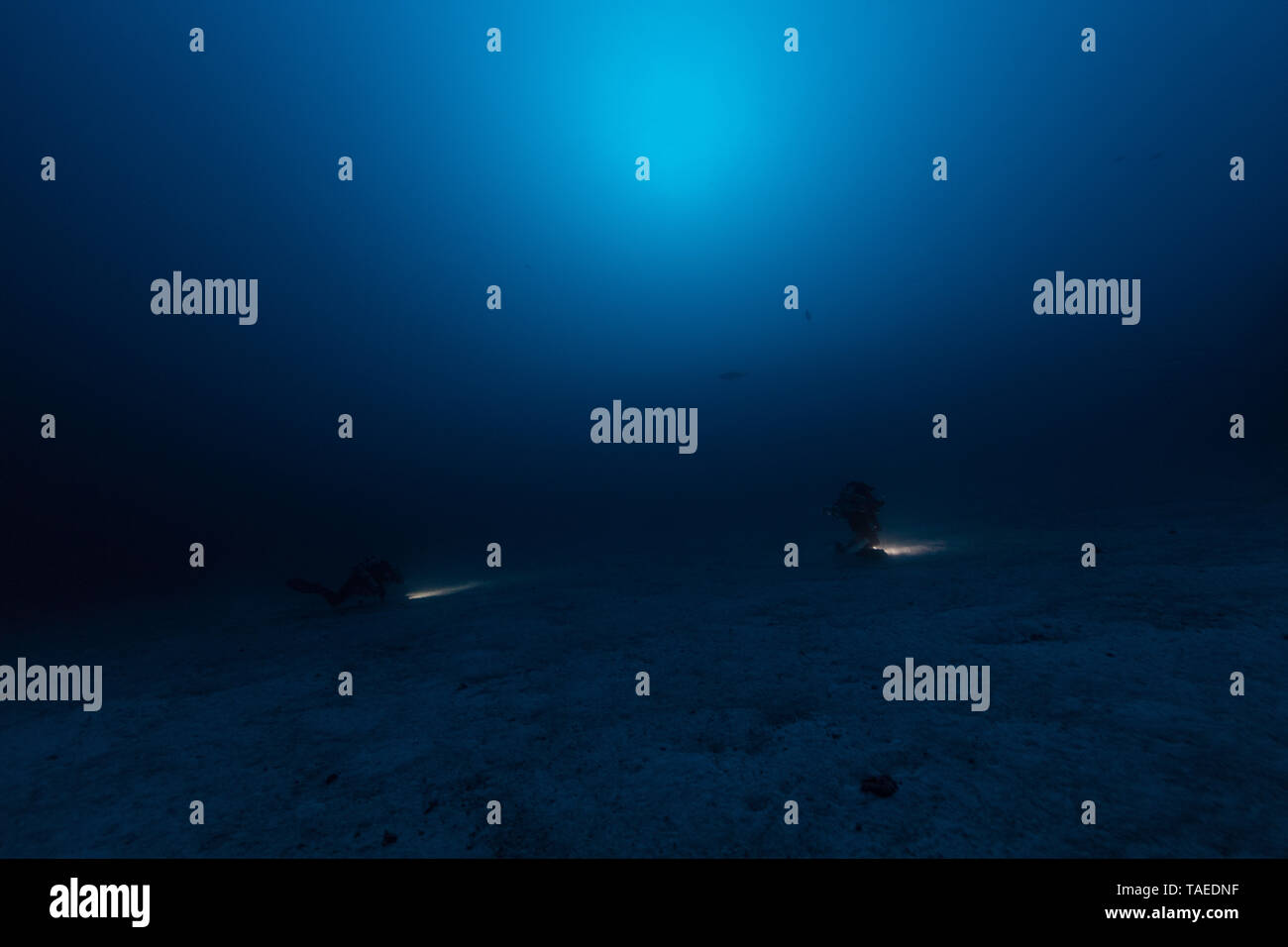 110 meters hi-res stock photography and images - Alamy