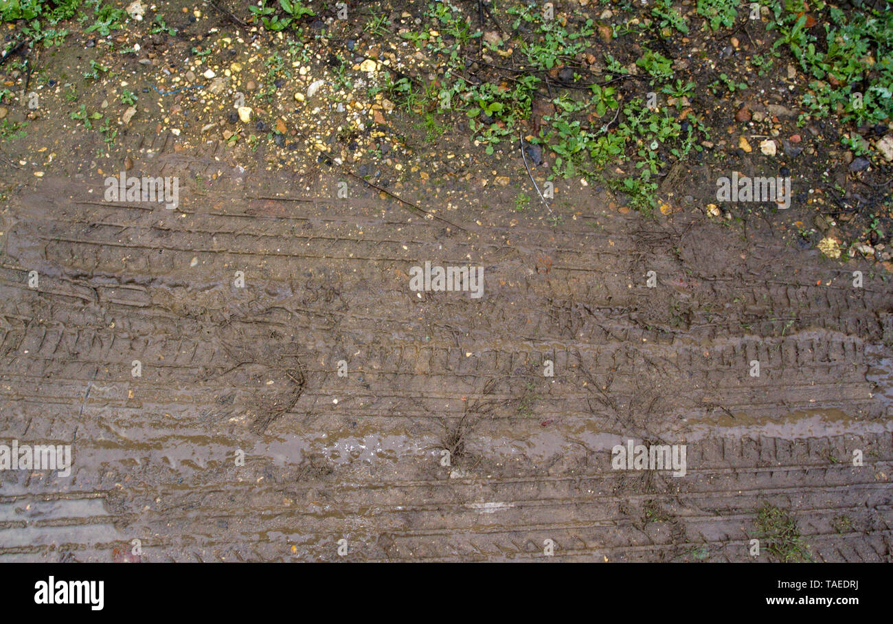 Shallow tyre tracks in Suffolk mud Stock Photo - Alamy
