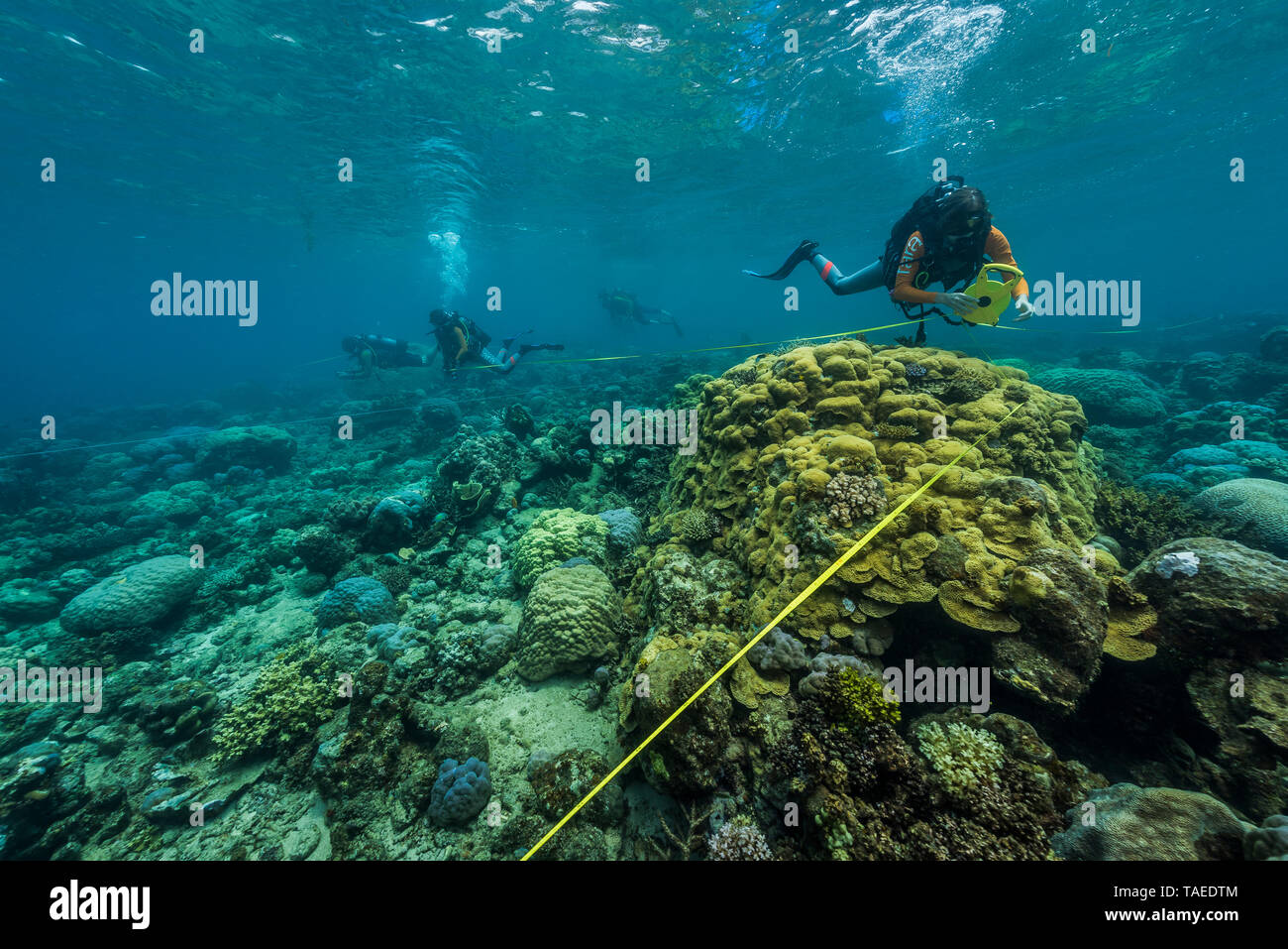 Tara Oceans Expeditions - May 2011. Tara with deployed plancton nets ...